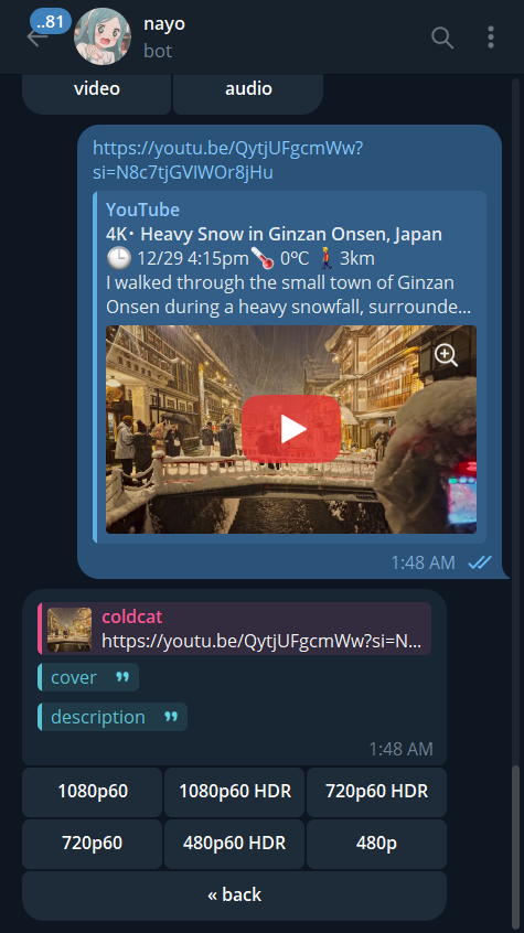 Youtube视频bot（自用分享）